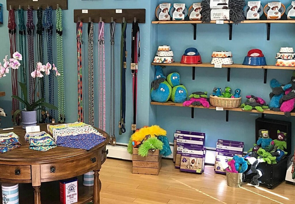 All the Dogs West Chester PA | Commercial Spotlight | Zukin Realty